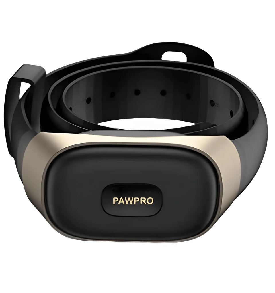 Zusätzliches Trainingshalsband – Modell PP7 – PAWPRO